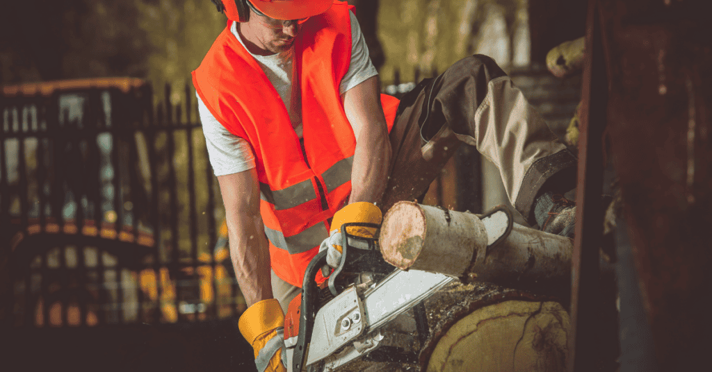 How To Build A Potato Storage Bin (100% Effective)