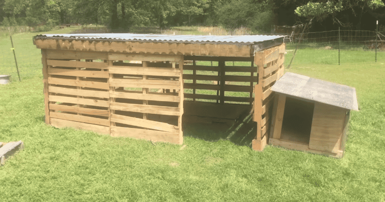 10 Free DIY Goat Shelter Plans to Build Now {Must Checkout}