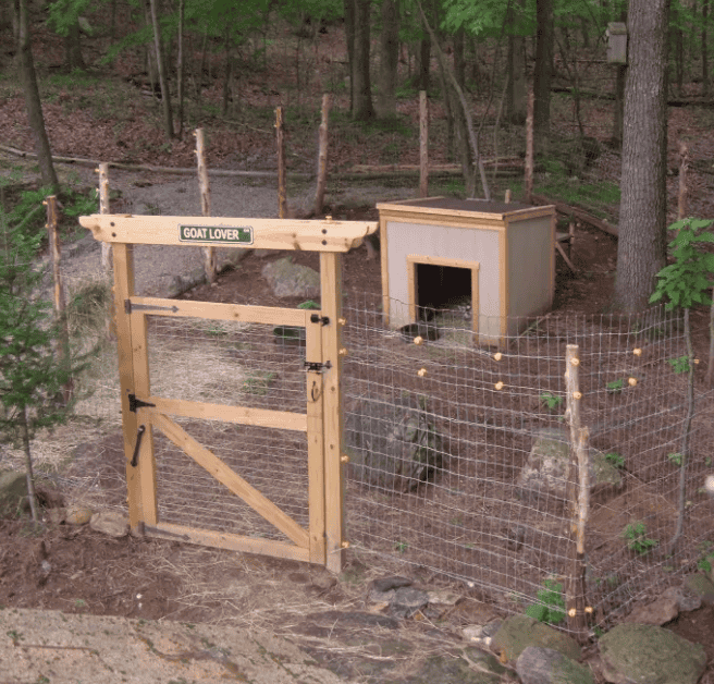 10 Free DIY Goat Shelter Plans to Build Now {Must Checkout}