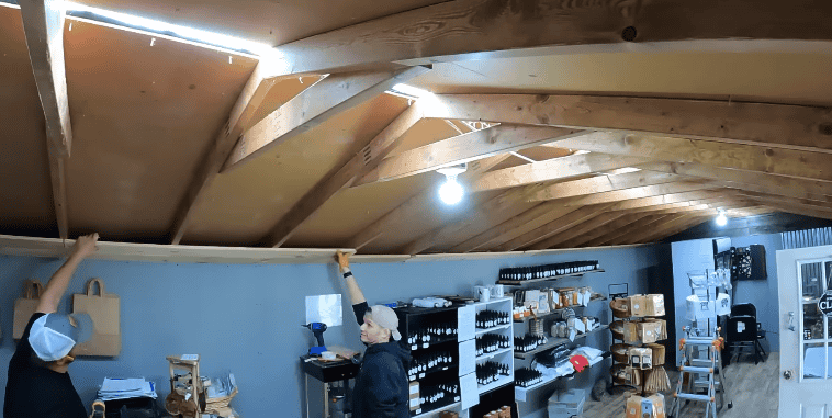 7 Free DIY Shed Ceiling Ideas From Basic to Brilliant - Pro Tool Guide